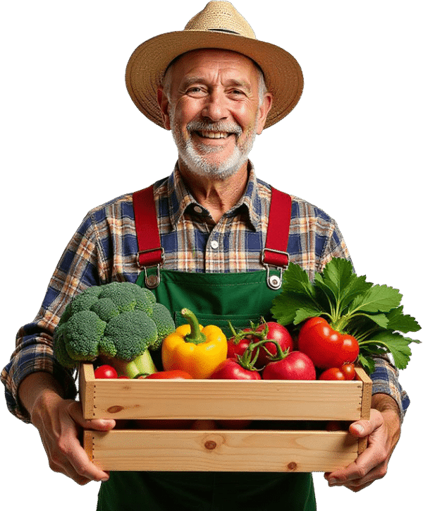Universal Foodstuff Trading – Premium Importer